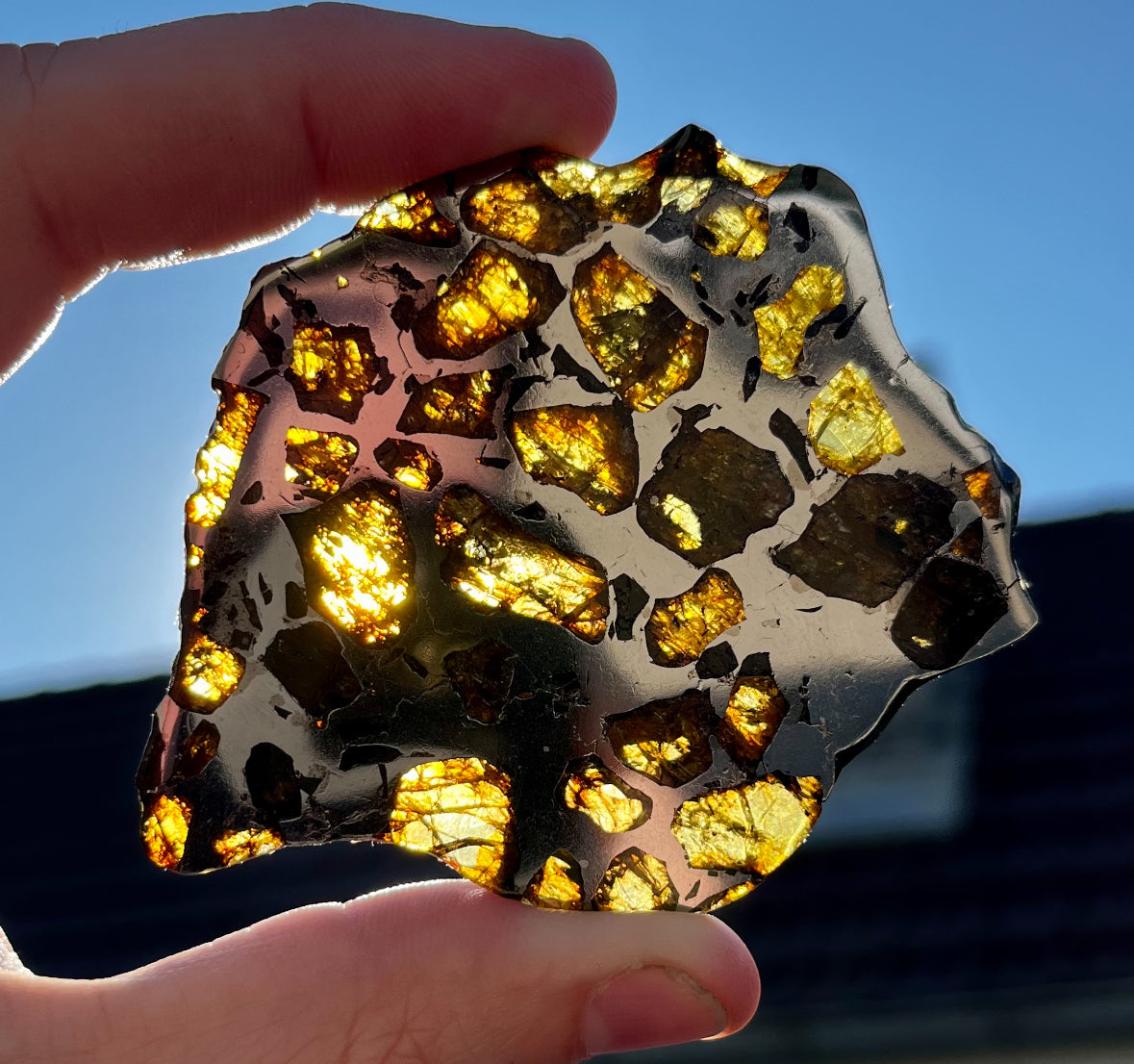 Mark Lyon Meteorites